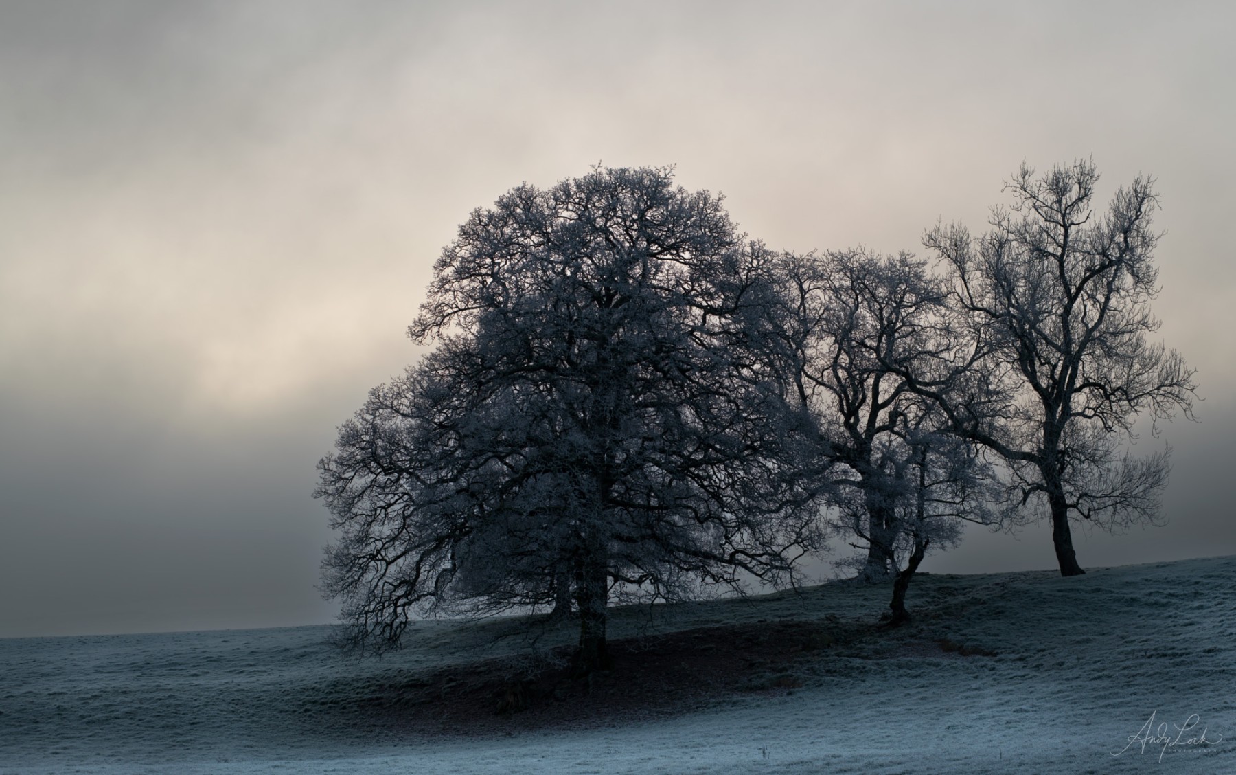 Gallery | Andy Lock Photography