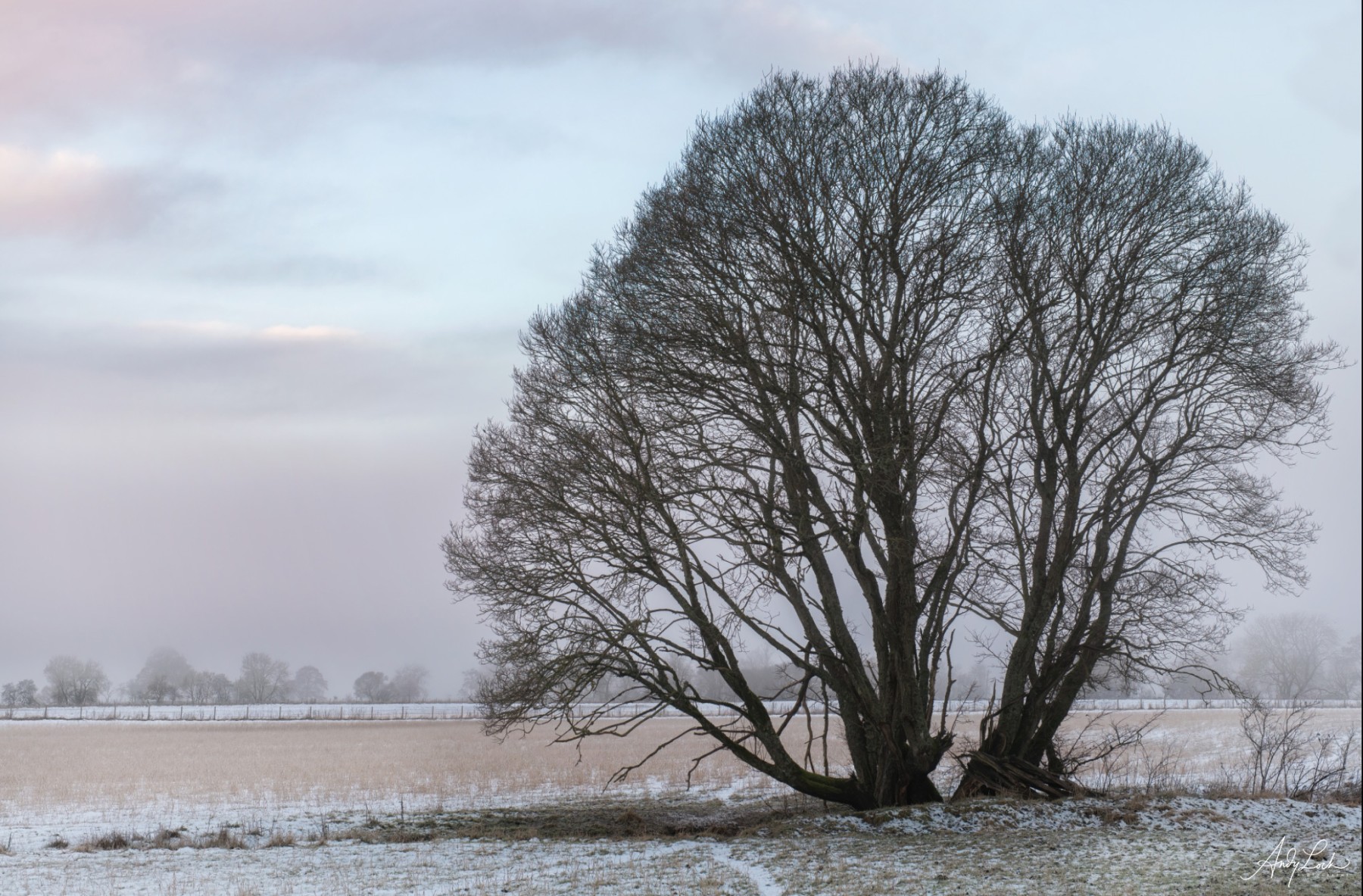 Gallery | Andy Lock Photography